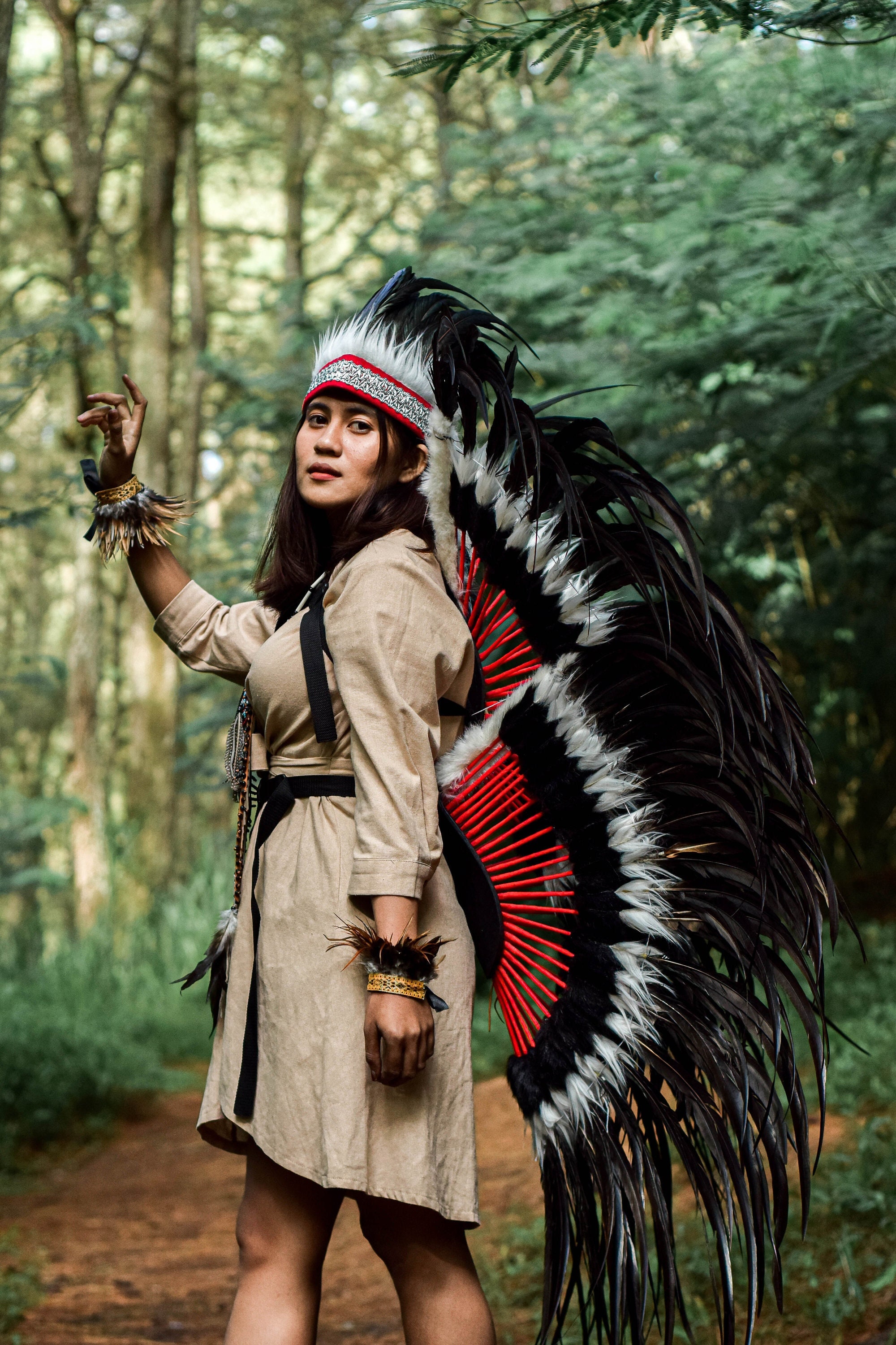 Mohawk Indian | ppgbbe.intranet.biologia.ufrj.br