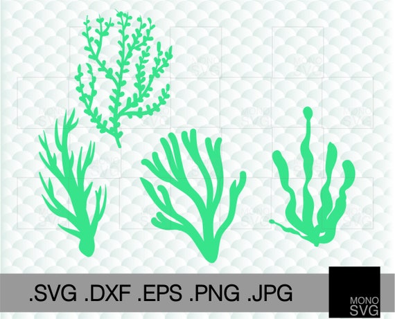 Seaweed Svg Under The Sea Coral Bubbles Svg Sea Grass Etsy