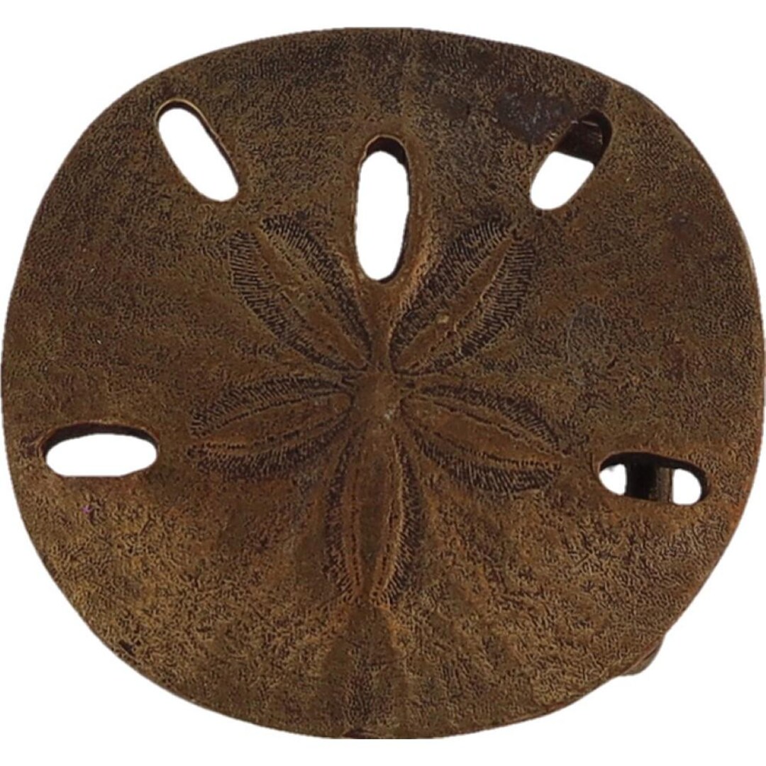 James Avery Sand Dollar Seashell Sea Shell Hawaii Nautical Vintage Belt ...