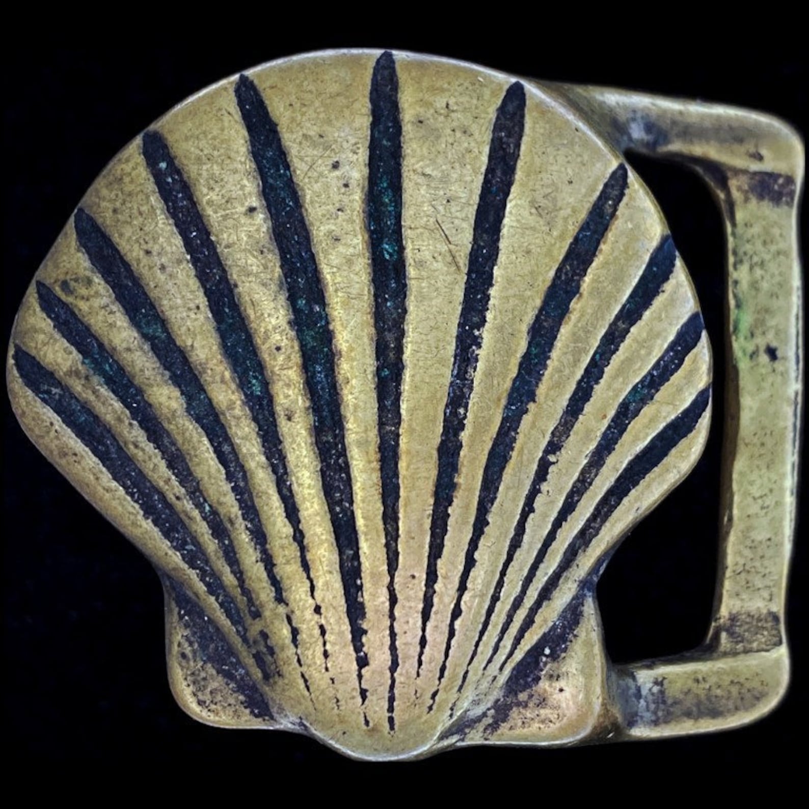 Brass Sea Shell Ocean Dive Surfer Cool Hippie Seashell 1970s Vintage ...