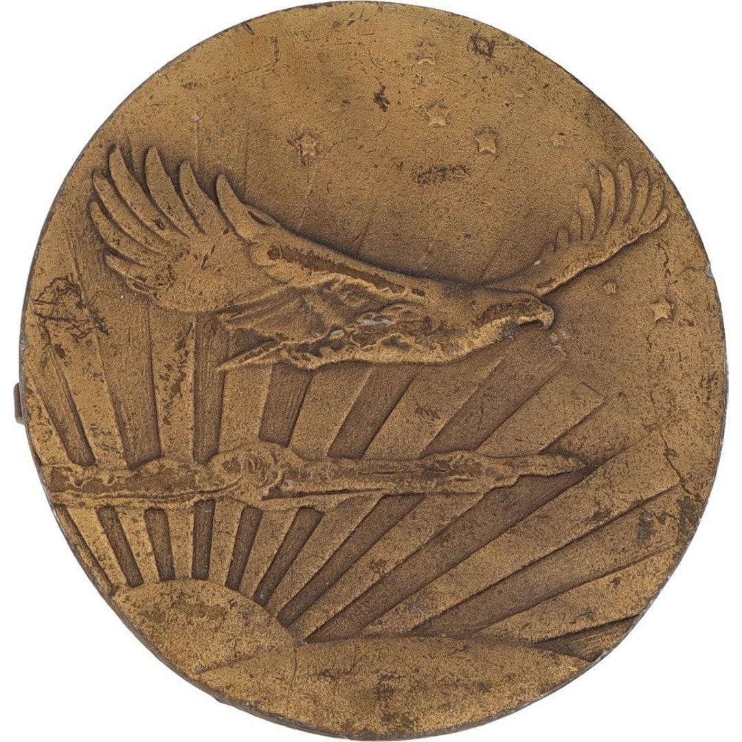 Bald Eagle Bird Hawk Falcon Hunter Western Hippie Biker 1970s Vintage ...