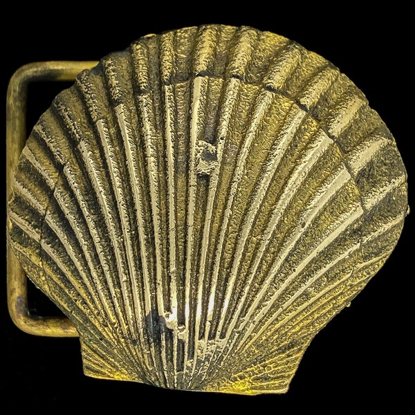 Seashell Belt - Etsy