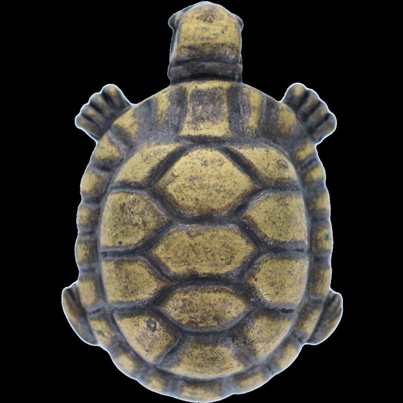 Sea Turtle Tortoise Shell Marine Reptile Pet Vintage Belt Concho Bolo ...