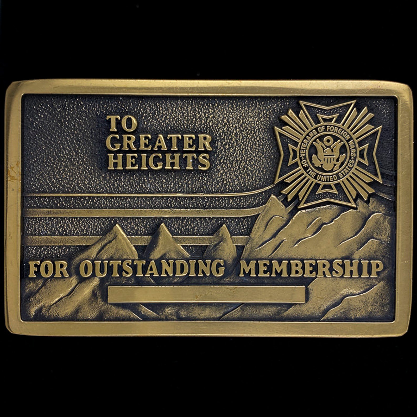 Vfw Veteran Foreign Wars Military Us Army Air Force Marines - Etsy