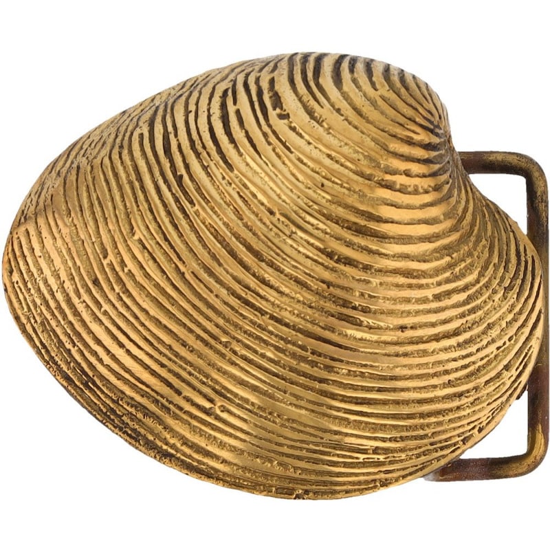 Seashell Belt - Etsy