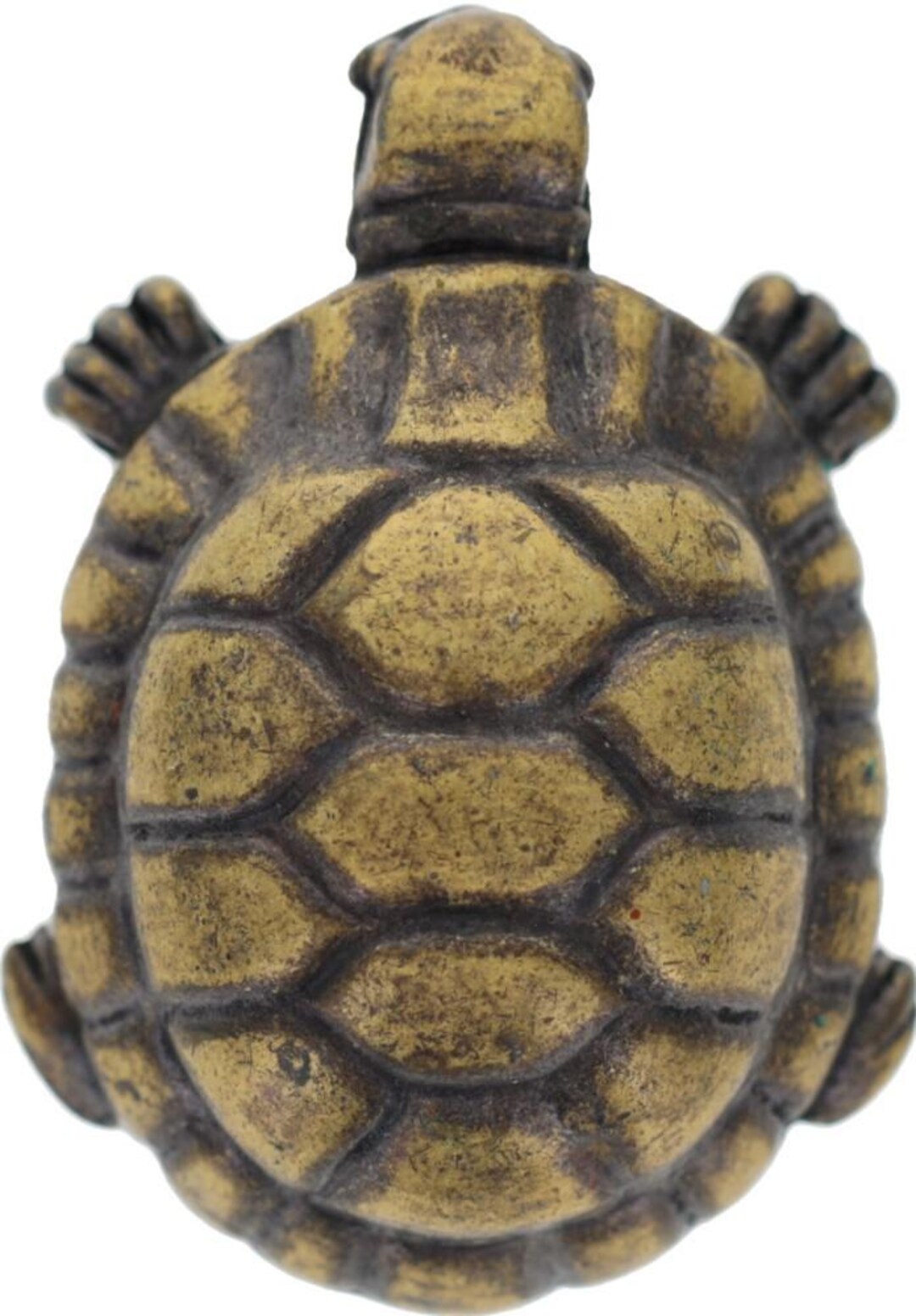 Sea Turtle Tortoise Shell Marine Reptile Pet Vintage Belt Concho Bolo ...