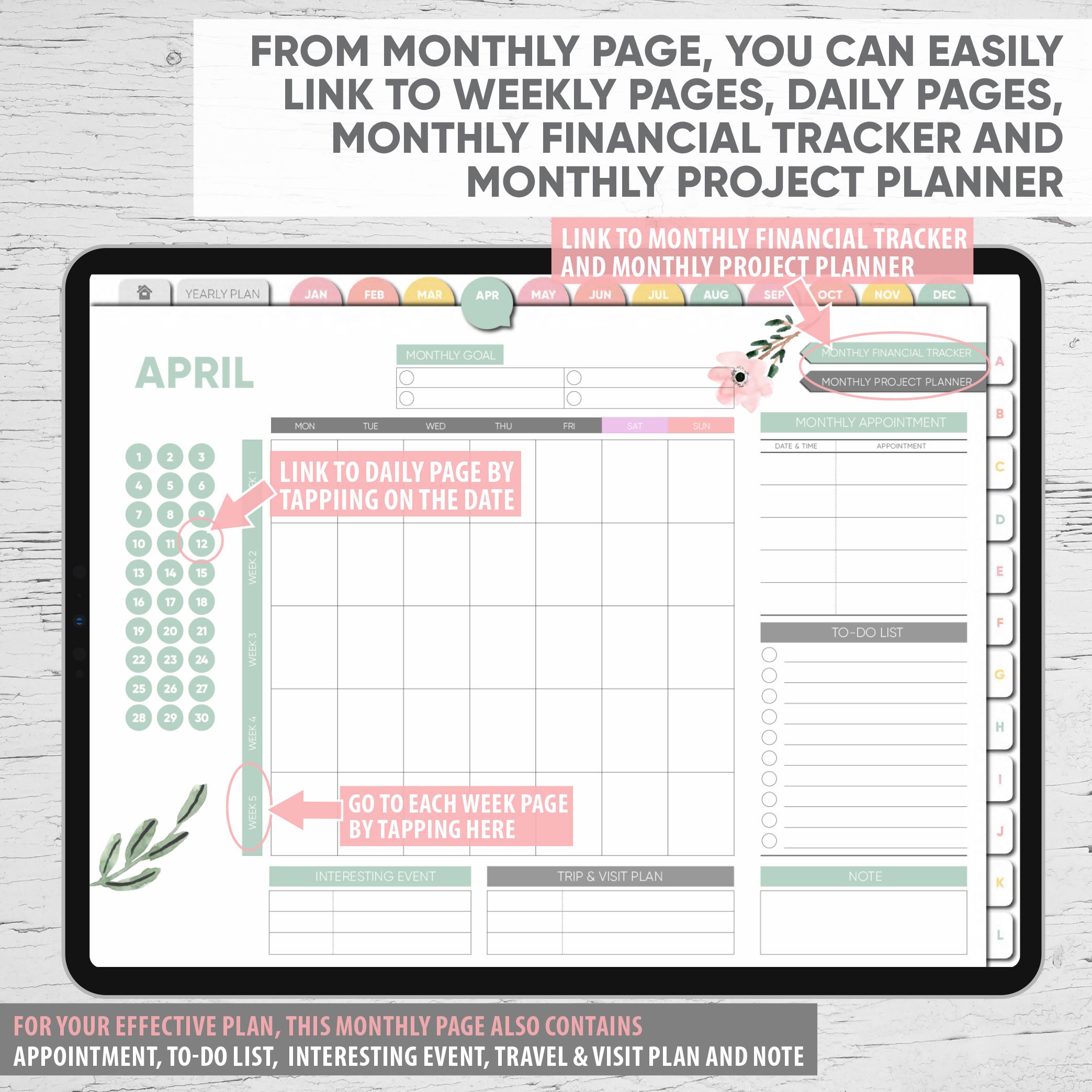 Undated DIGITAL Life Planner sun and Mon Start Complete | Etsy