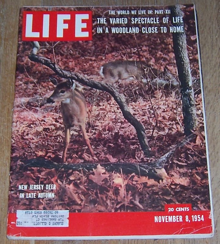 Life Magazines 1954 October November News Entertainment Politics ...