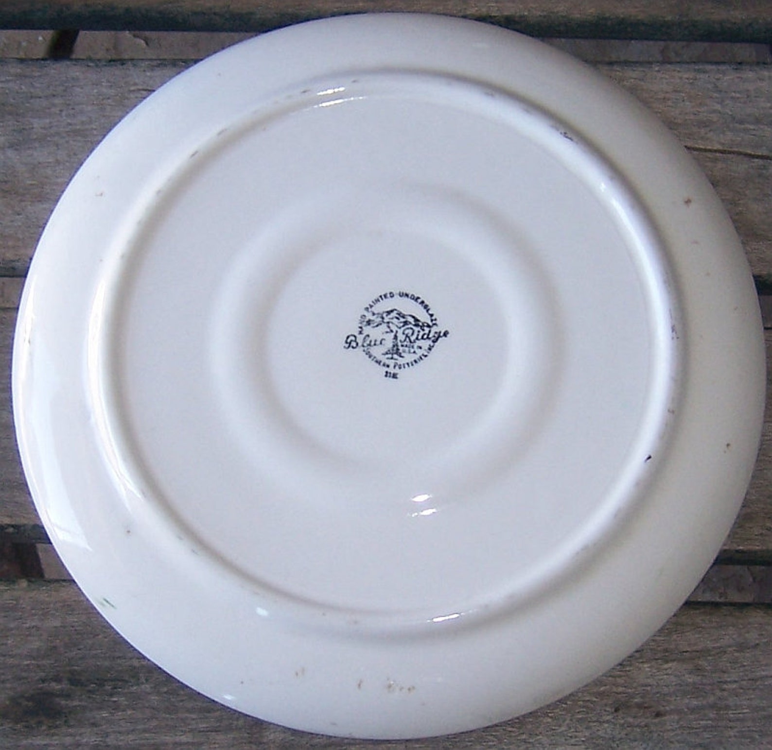 Blue Ridge Pottery Forest Fruit Pattern Dinner Plates and Cup Vintage ...