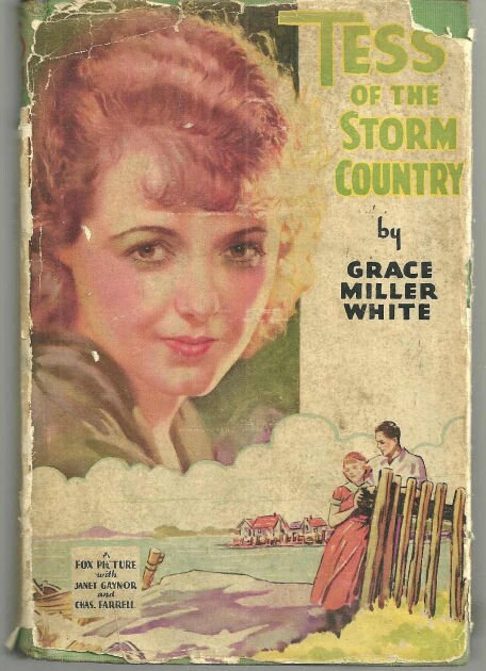 Tess of the Storm Country 1909 Hardcover Photoplay Dust Jacket Janet ...