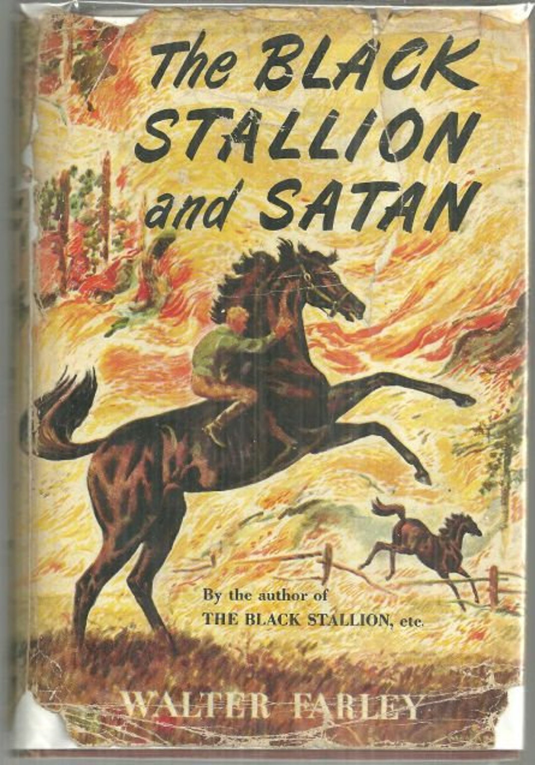 Black Stallion Series Horse Books by Walter Farley Satan, Son Of ...