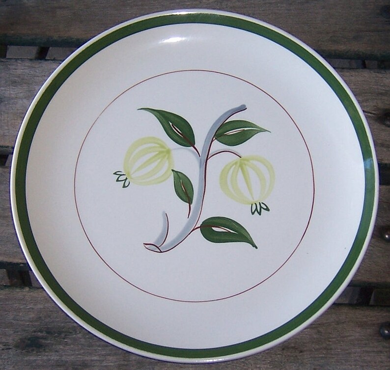 Blue Ridge Pottery Forest Fruit Pattern Dinner Plates and Cup Vintage ...