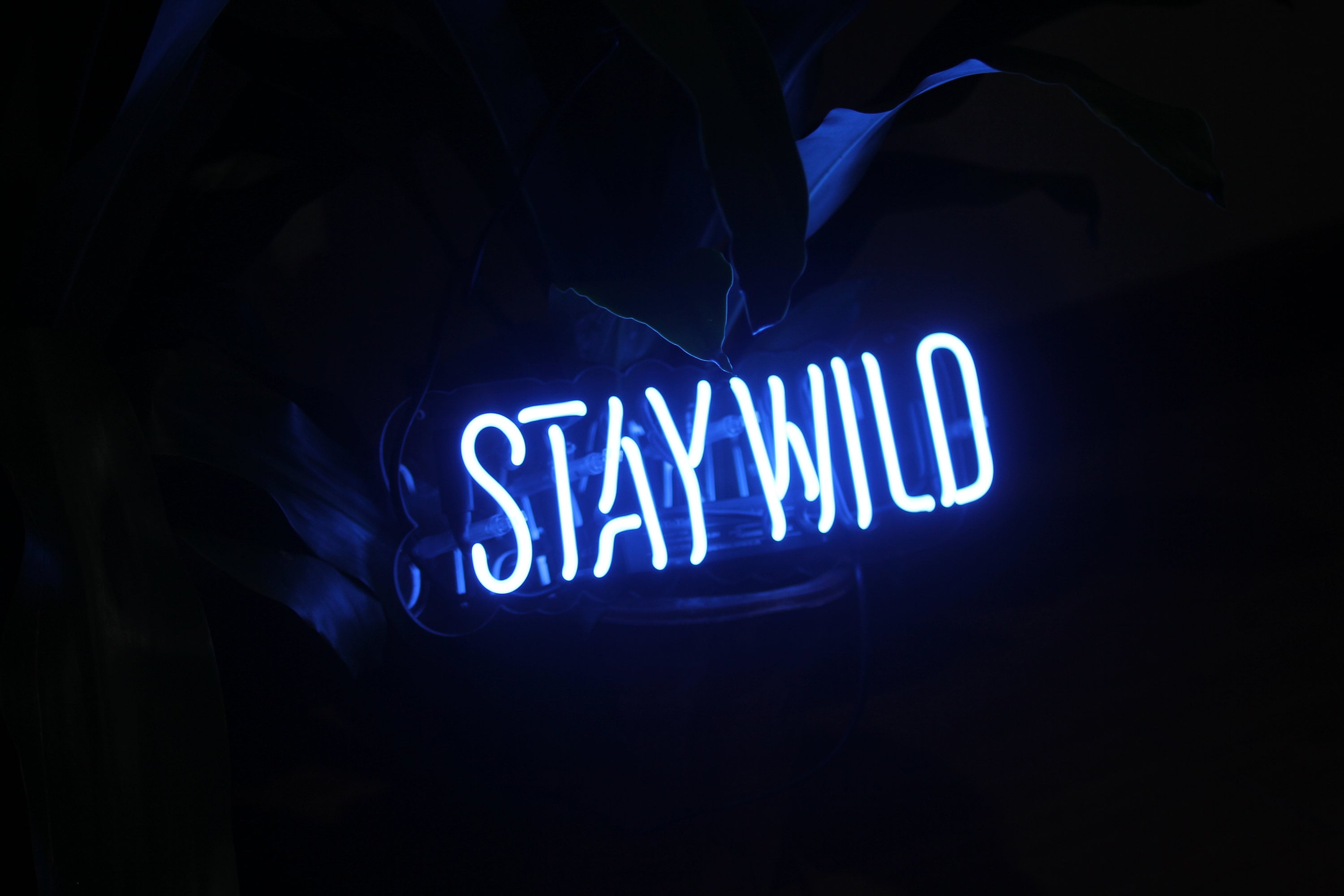Handmade 'stay Wild' Blue Wedding Anniversary Art - Etsy