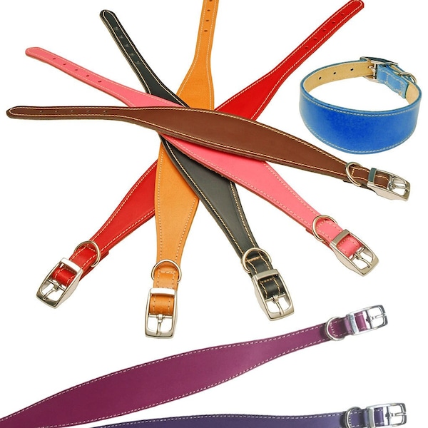 Lurcher Collar - Etsy UK