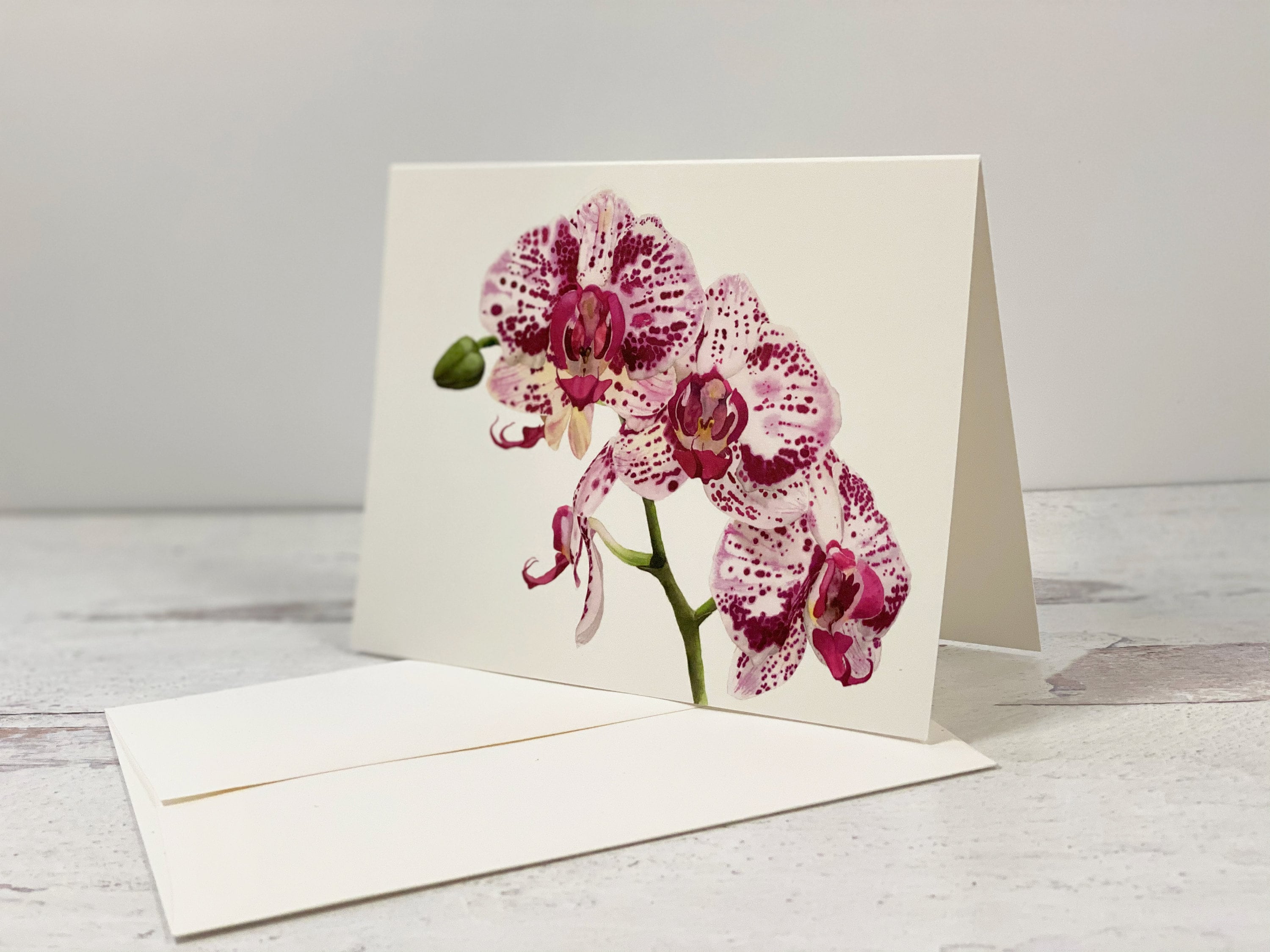 Orchid III Card - Etsy