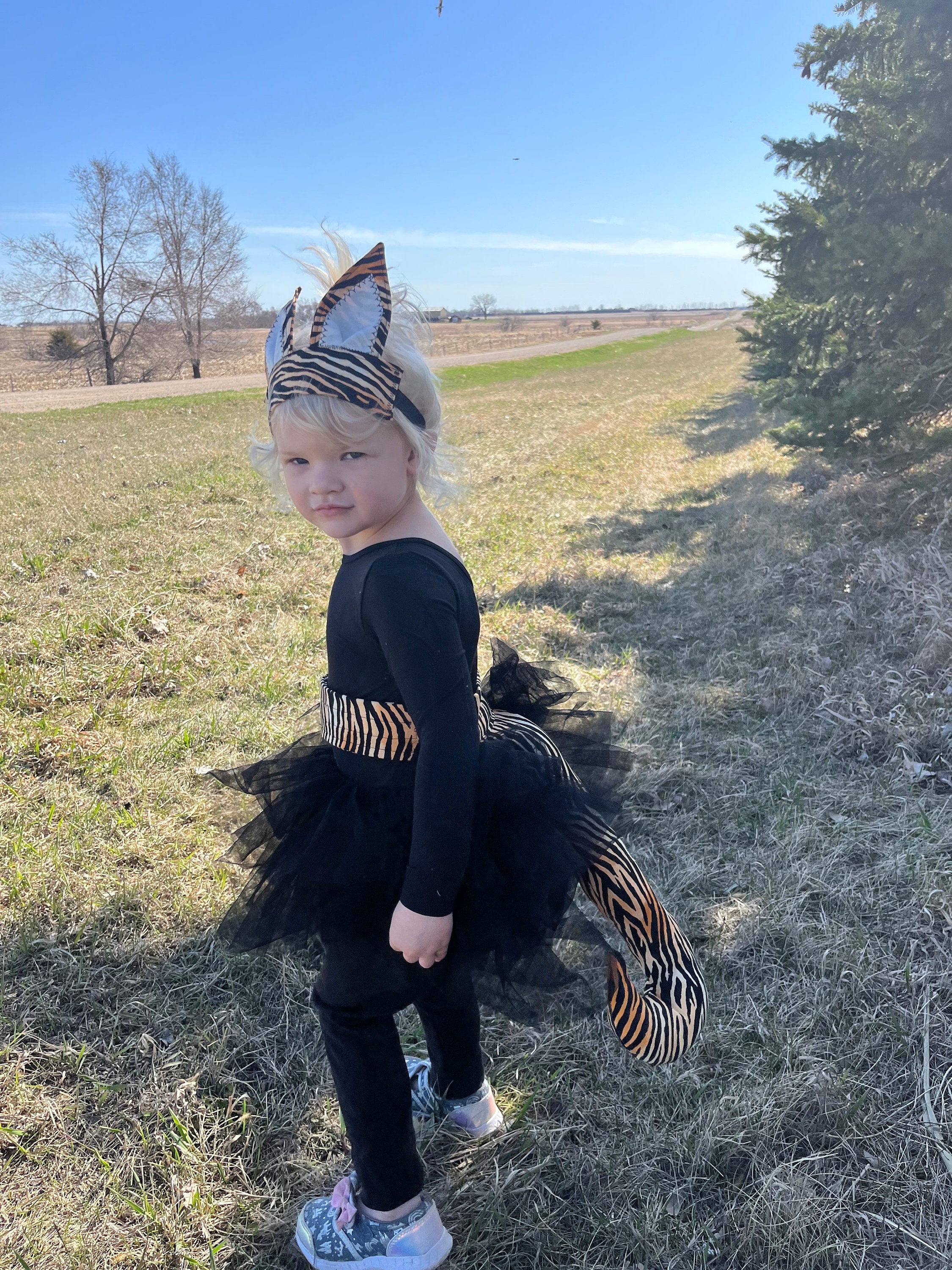 Safari Animal Costume