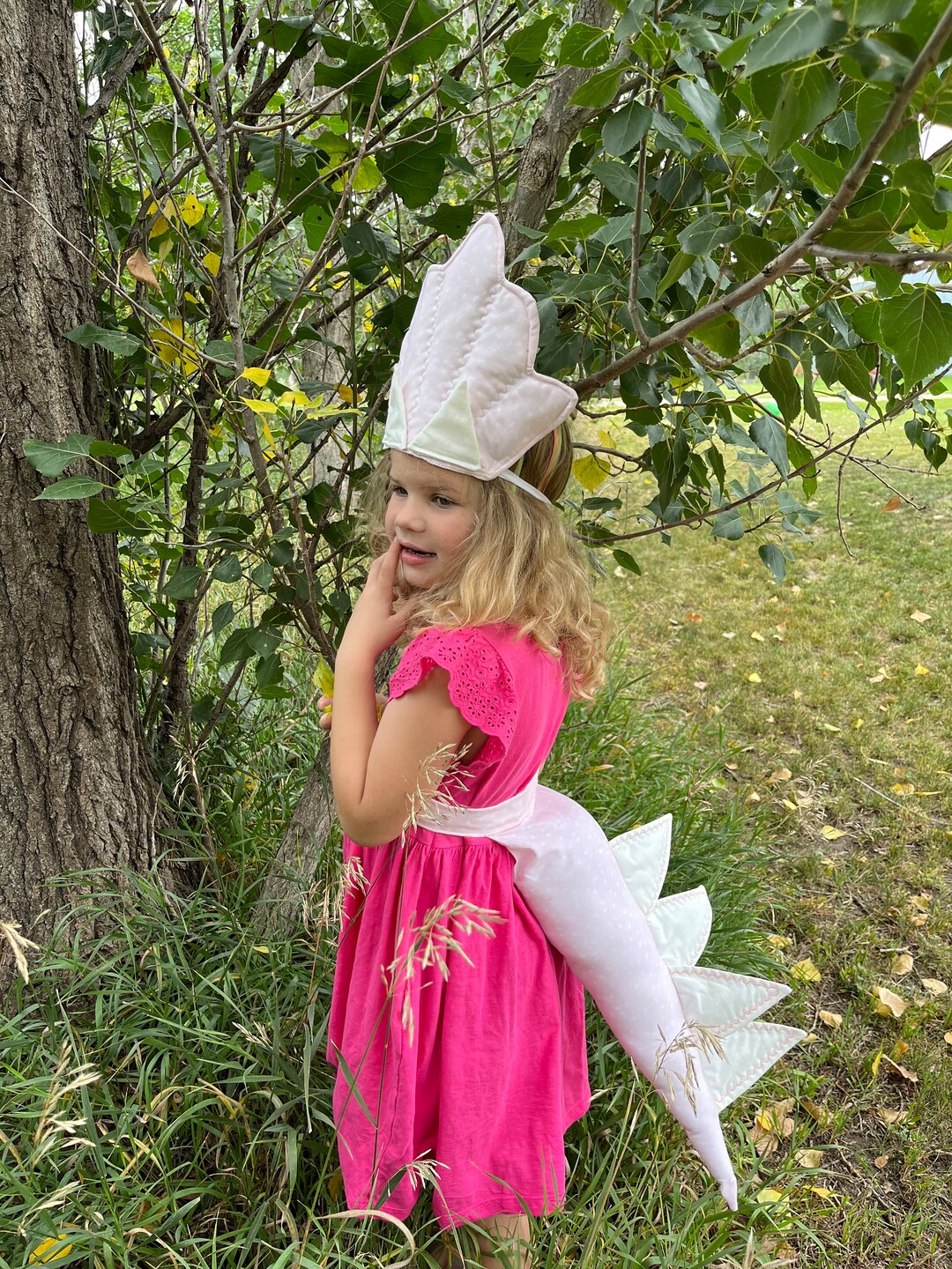 Dinosaur Costume, Dinosaur Tails- Dress up Gift for Toddler ...
