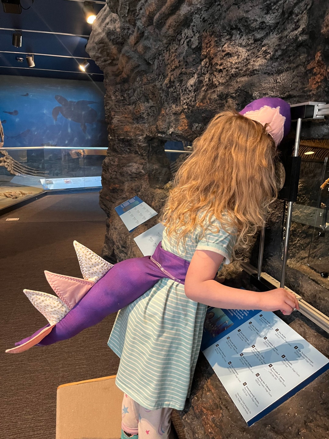 Dinosaur Tail and Headpiece, Dinosaur Halloween Costume for Toddlers ...