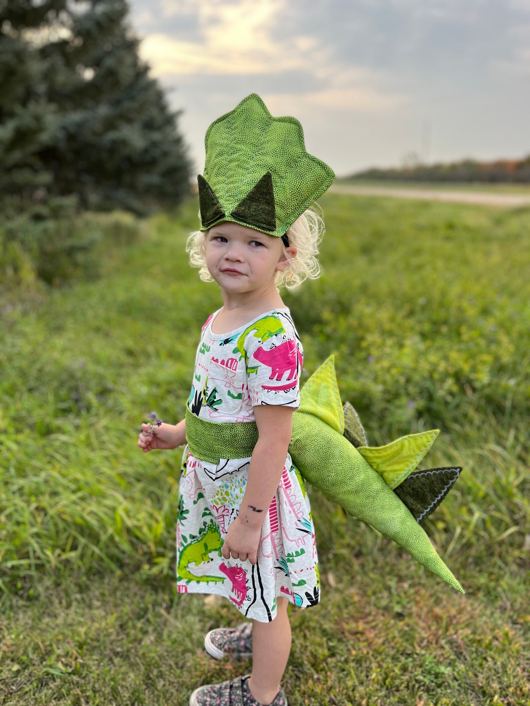 Toddler Dinosaur Dress up Set - Handmade Triceratops Costume Tail and ...