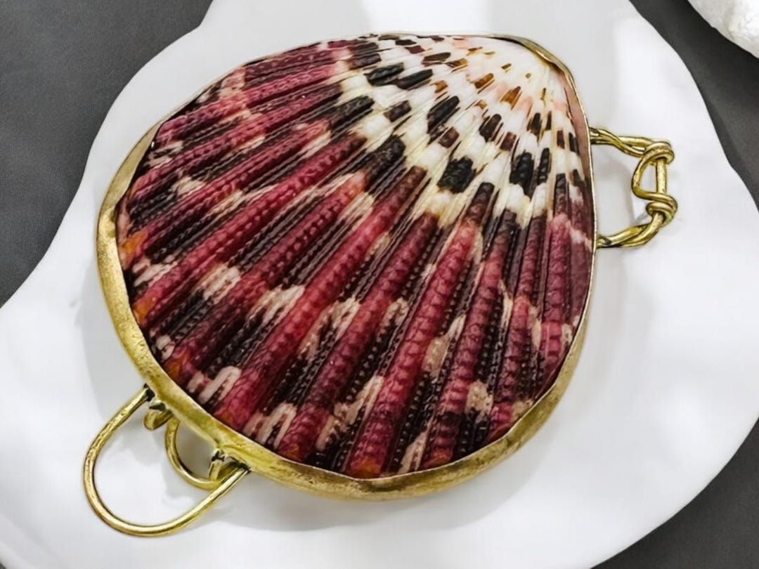 Vintage Red Clam Shell Sea Shell Brass Hinged Jewelry Box Elegant ...