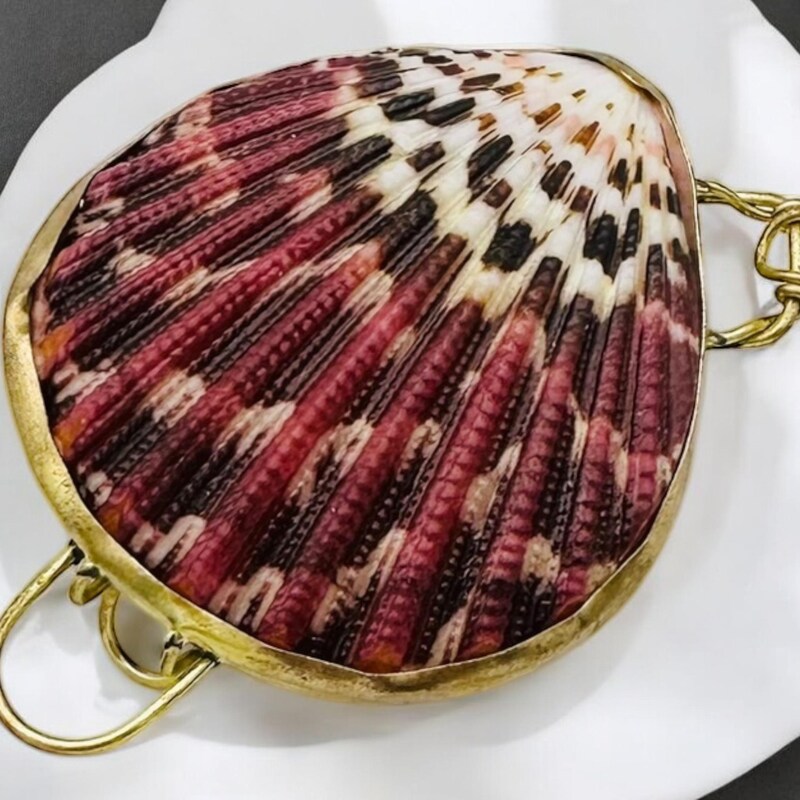 Shell Pill Box - Etsy