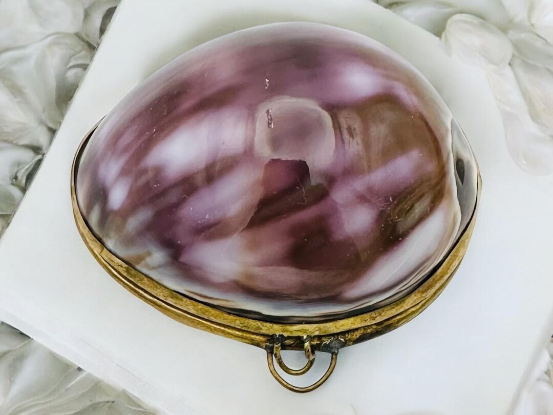 Vintage Polished Purple Cowry Clam Shell Sea Shell Brass Hinged Jewelry ...