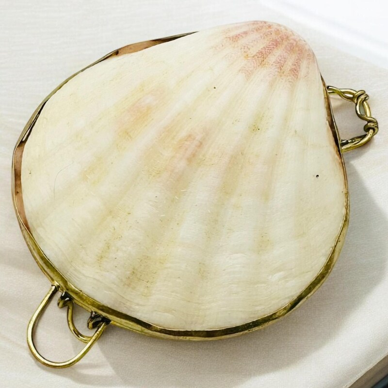 Shell Pill Box - Etsy