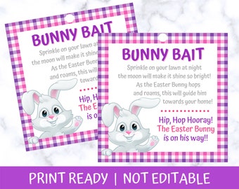 Easter Bunny Bait, Printable Gift Tags, Kids Easter Eve Activity ...