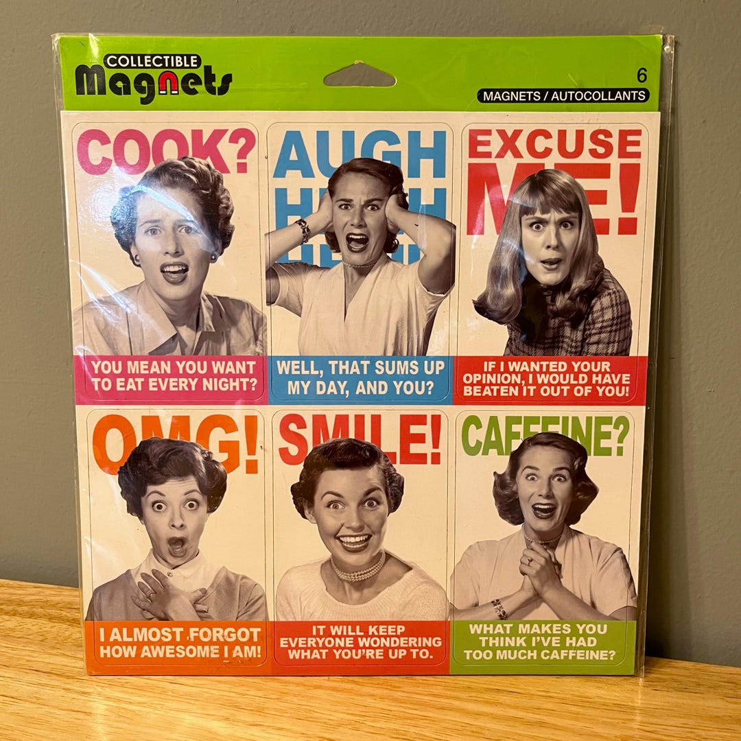 Collectable Kitchen Magnets, Funny Ladies of the 1950's Refrigerator ...