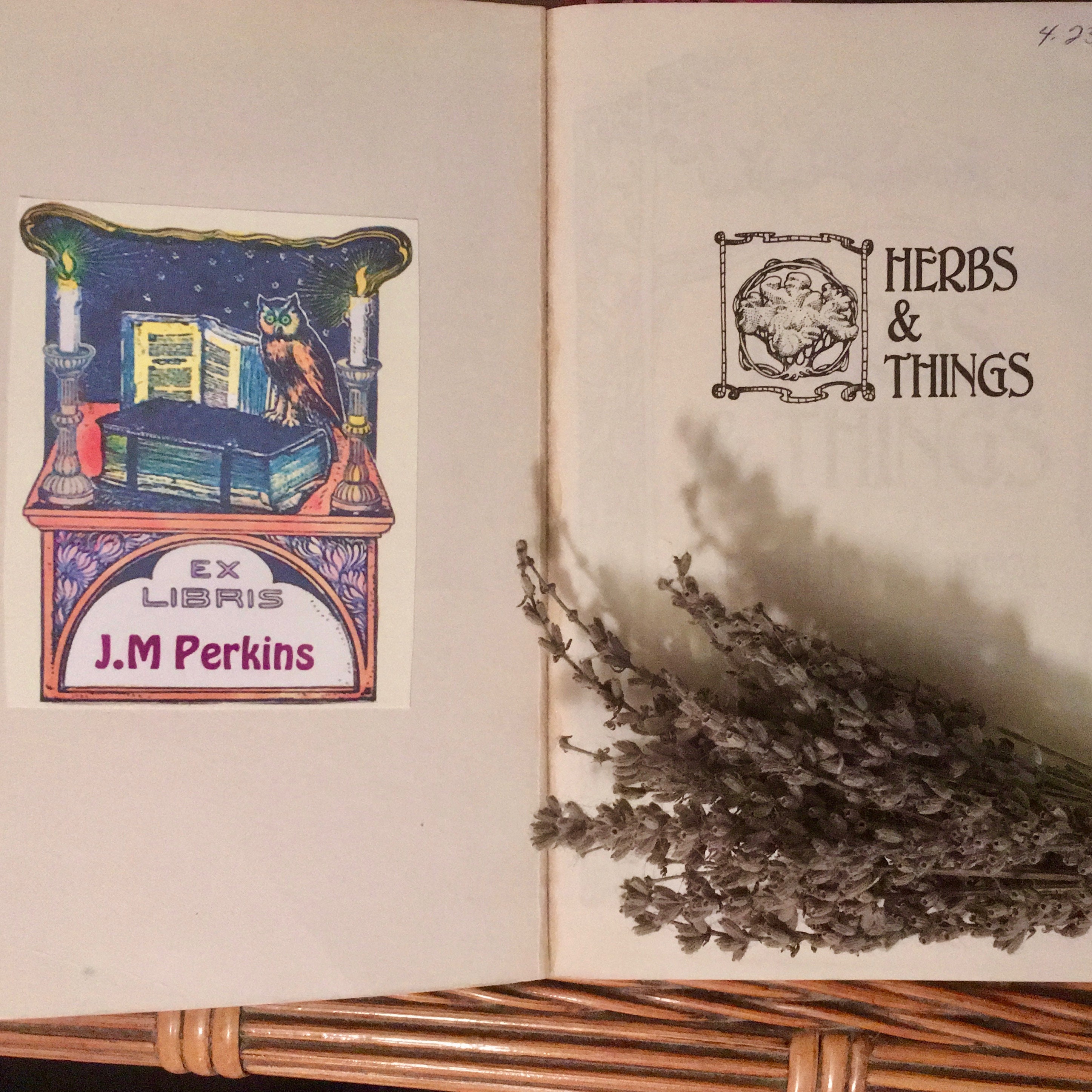 Printable Vintage Book Plates 4 Designs Cat Owl Flowers and - Etsy