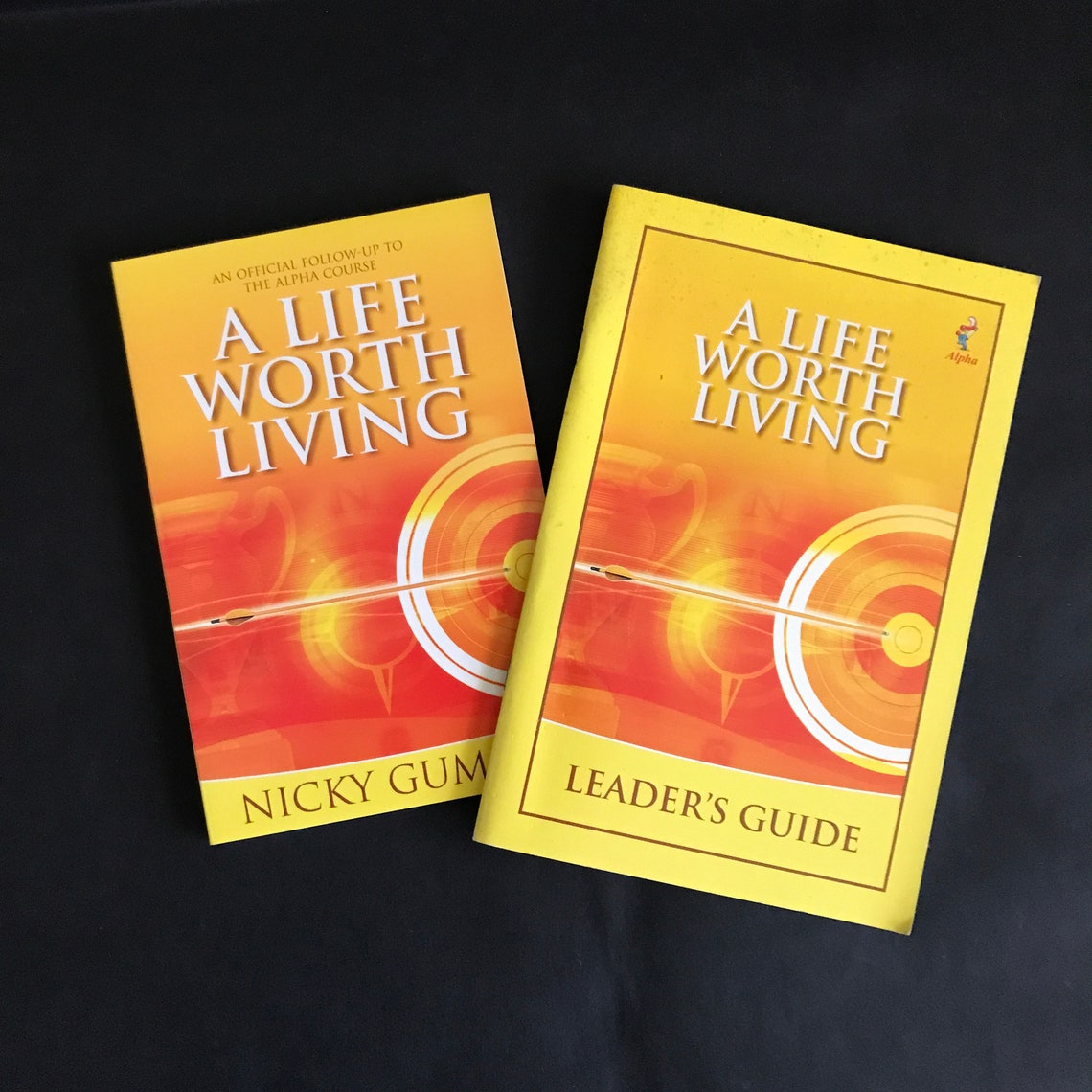 A Life Worth Living, an Official Follow-up to the Alpha Course and A ...