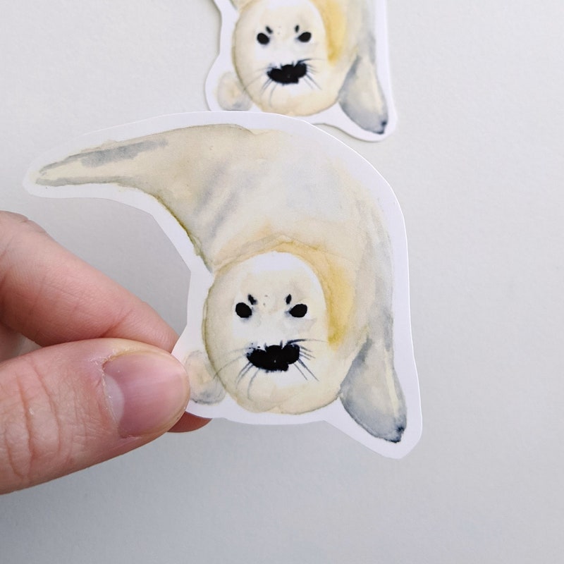 Harp Seal - Etsy