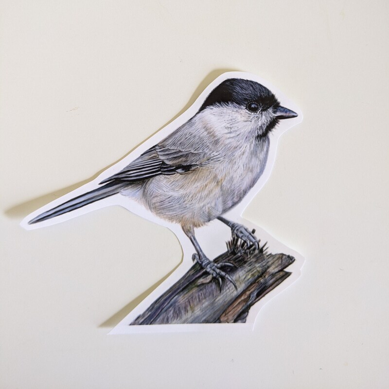 Bird Vinyl - Etsy