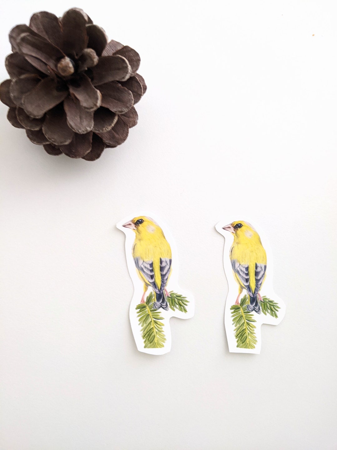 Colored Pencil Bird Sticker | Vinyl Sticker | Yellow Warbler | Wildlife ...