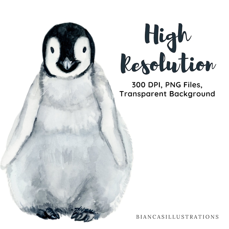 Watercolor Penguin Clipart Transparent Background Cute - Etsy