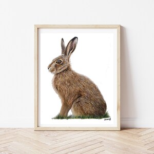 ORIGINAL Colored Pencil Hare Drawing, Realistic Artwork, Rabbit Art ...