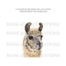 Llama Watercolor Clipart | Hand Painted | Illustration | Graphic ...