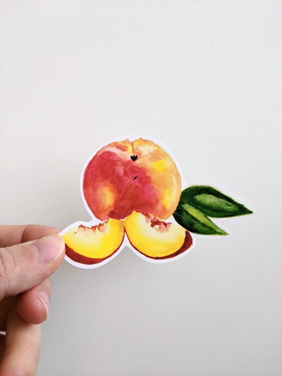 Peach Sticker Watercolor Peach Vinyl Sticker Fruit Art for | Etsy