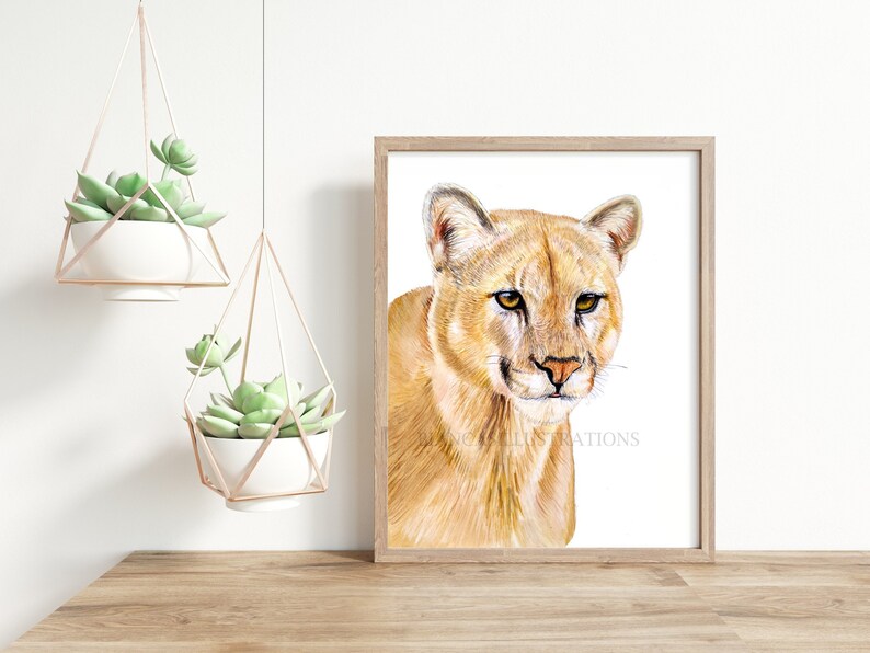 Cougar Drawing Puma Artwork Mountain Lion Art Hand Drawn - Etsy