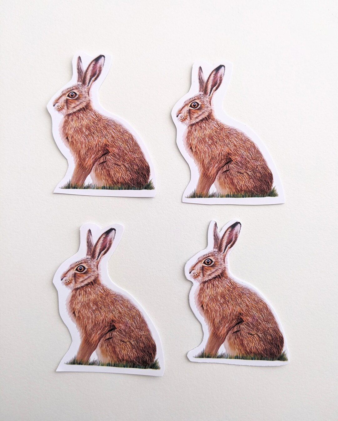 Hare Stickers, Rabbit Vinyl Sticker Pack, for Laptops, Journals, Water ...