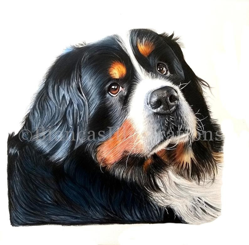 Custom Colored Pencil Pet Portraits Realistic Dog and Cat - Etsy