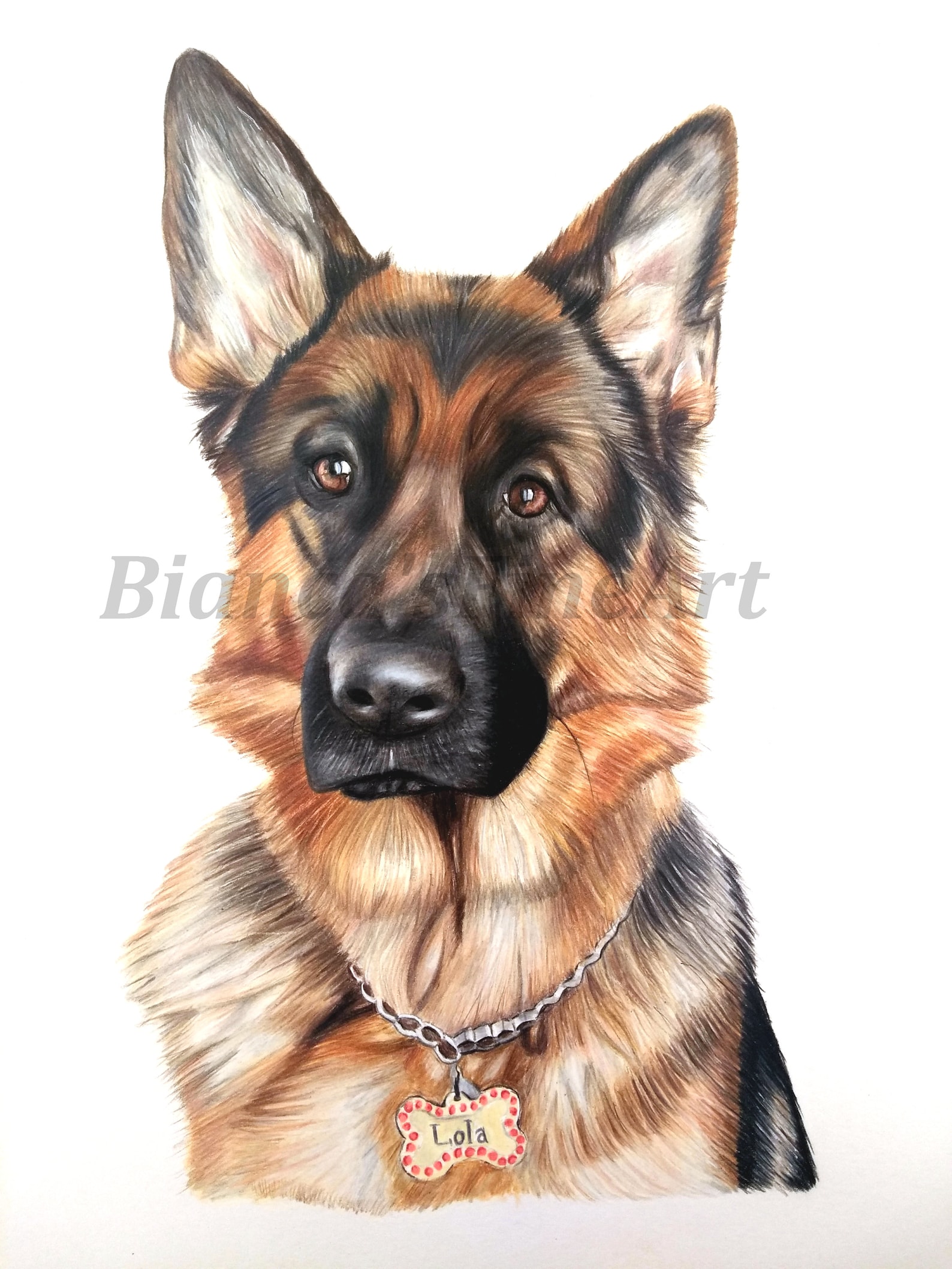 Custom Colored Pencil Pet Portraits Realistic Dog and Cat - Etsy Canada