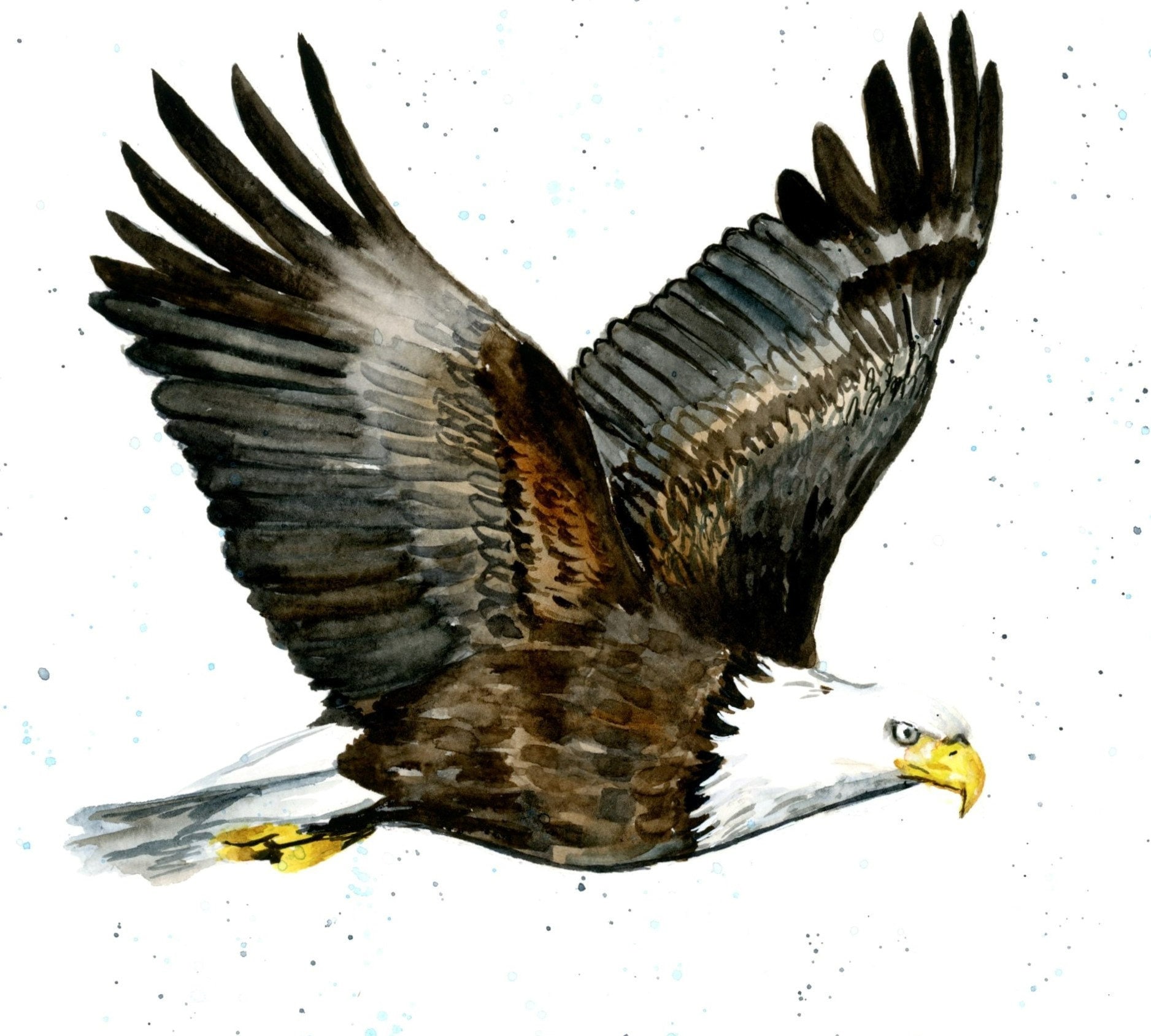 Eagle Print Watercolor Eagle Artwork Fine Art Print Soaring - Etsy
