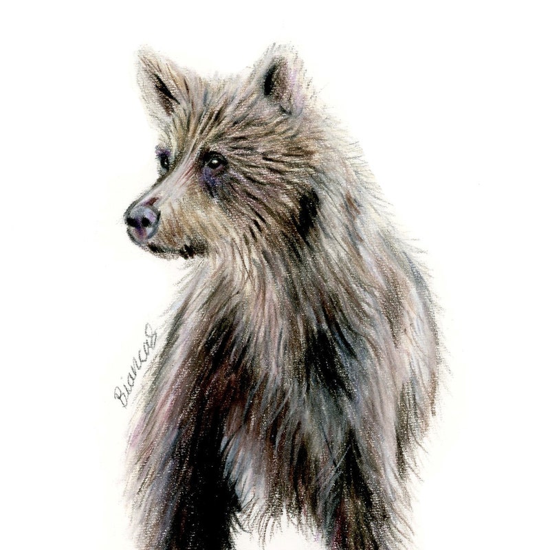Bear Line Drawing - Etsy