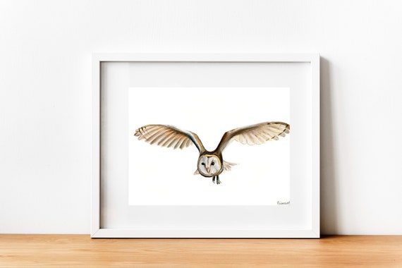Barn Owl Drawing Colored Pencil Artwork Hand Drawn - Etsy