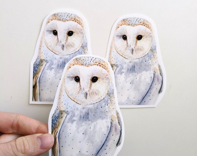 Transparent Baby Owl Sticker Hand Drawn Owl Sticker Clear Decal Laptop ...