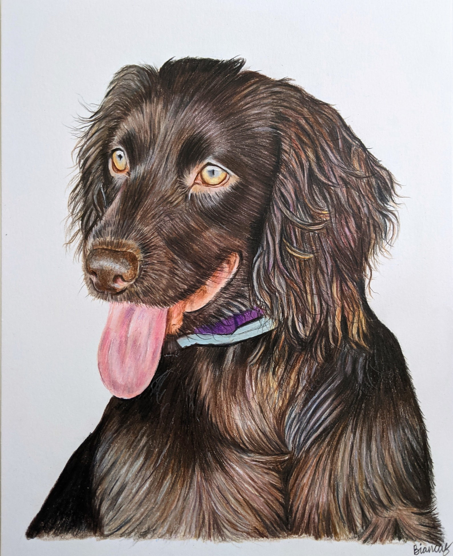 Custom Colored Pencil Pet Portraits Realistic Dog and Cat | Etsy