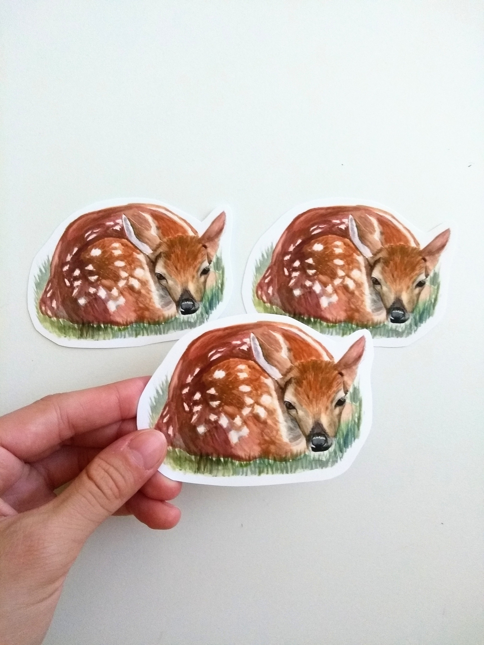 Baby Deer Sticker Watercolor Vinyl Sleeping Fawn Sticker | Etsy