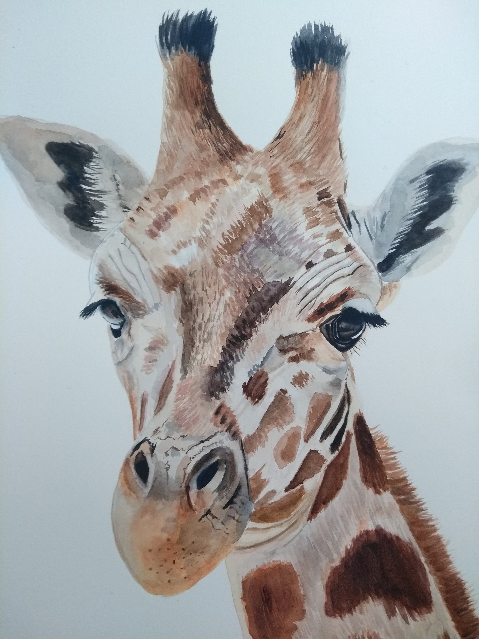 Original Watercolor Giraffe Painting, Watercolor Wildlife Art, Hand ...
