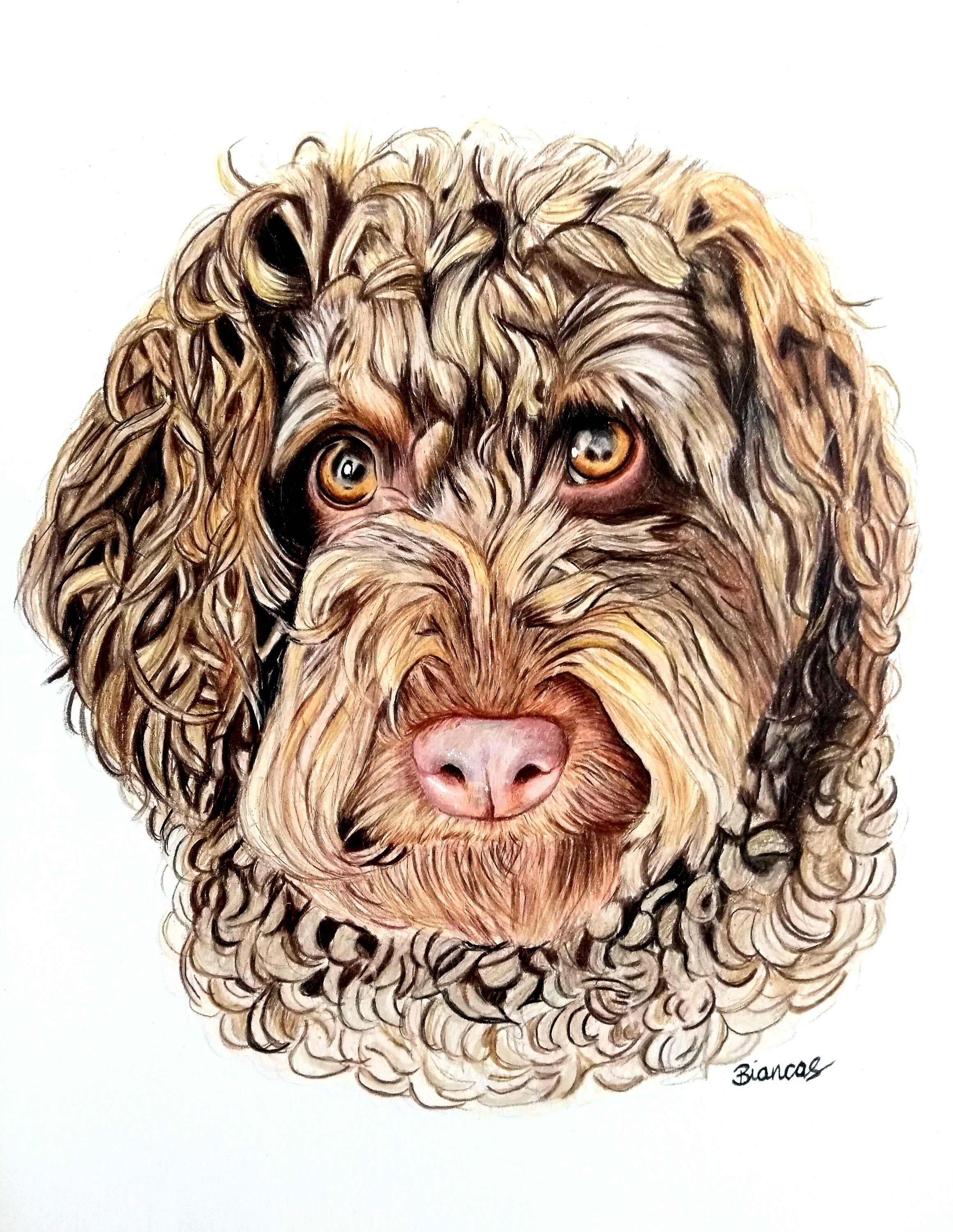 Custom Colored Pencil Pet Portraits, Realistic Dog and Cat Commissions ...